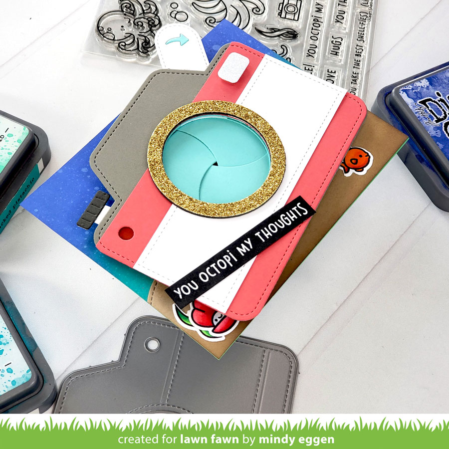 iris-camera-2 – Mindy Eggen Design