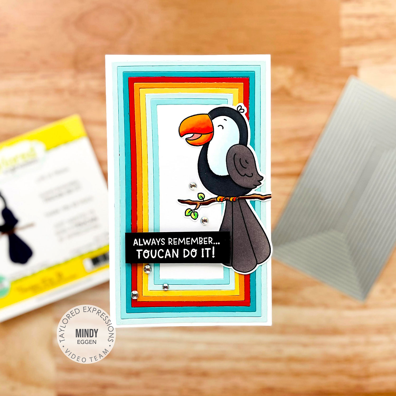 toucan-do-it-mindyeggen-1 – Mindy Eggen Design